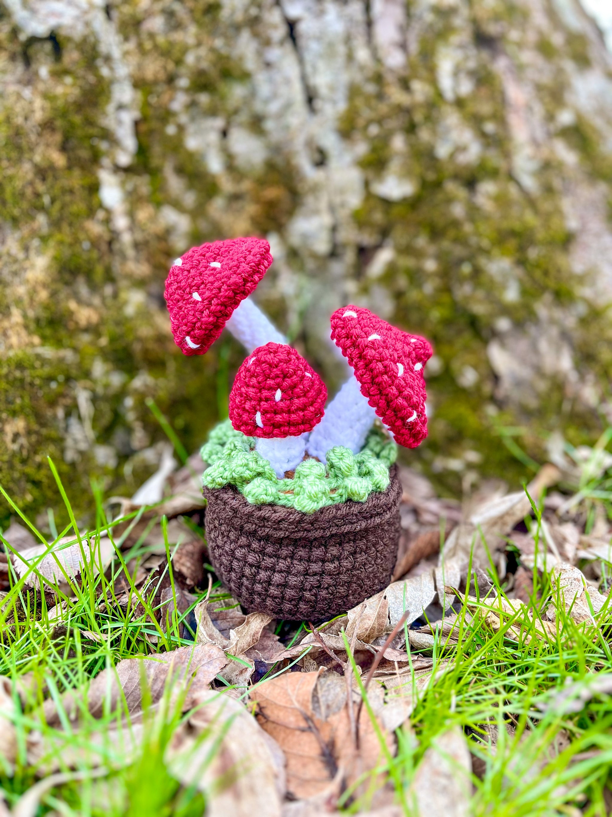 The Mossy Mushroom Crochet Pattern – Squibble's Crochet Corner