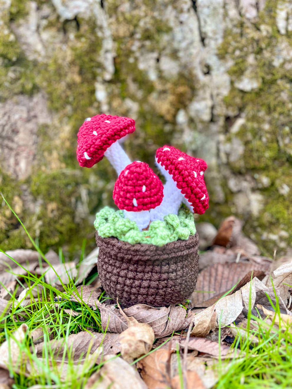 The Mossy Mushroom Crochet Pattern – Squibble's Crochet Corner