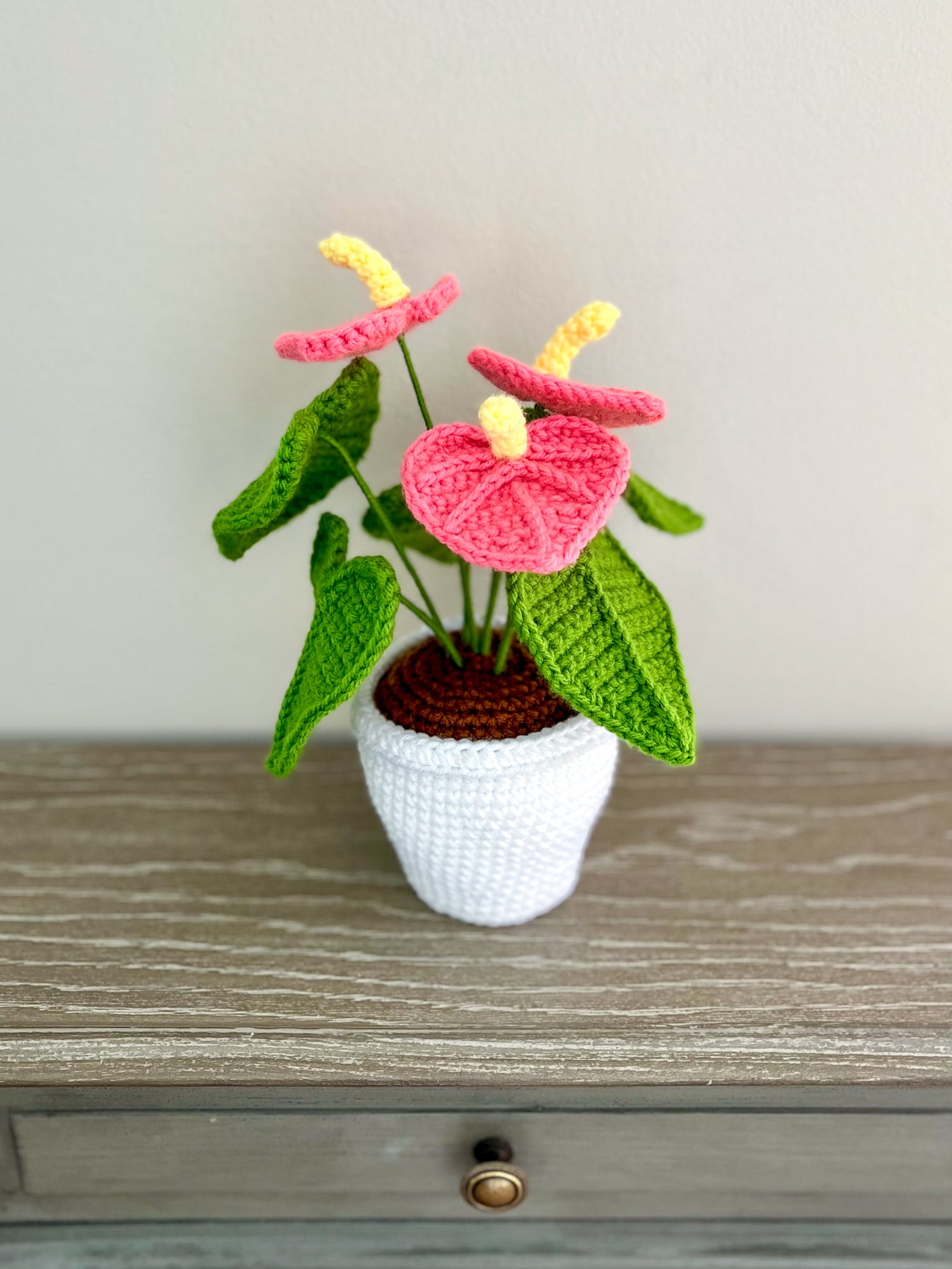 Valentine’s Pink Anthurium Crochet Pattern – Squibble's Crochet Corner