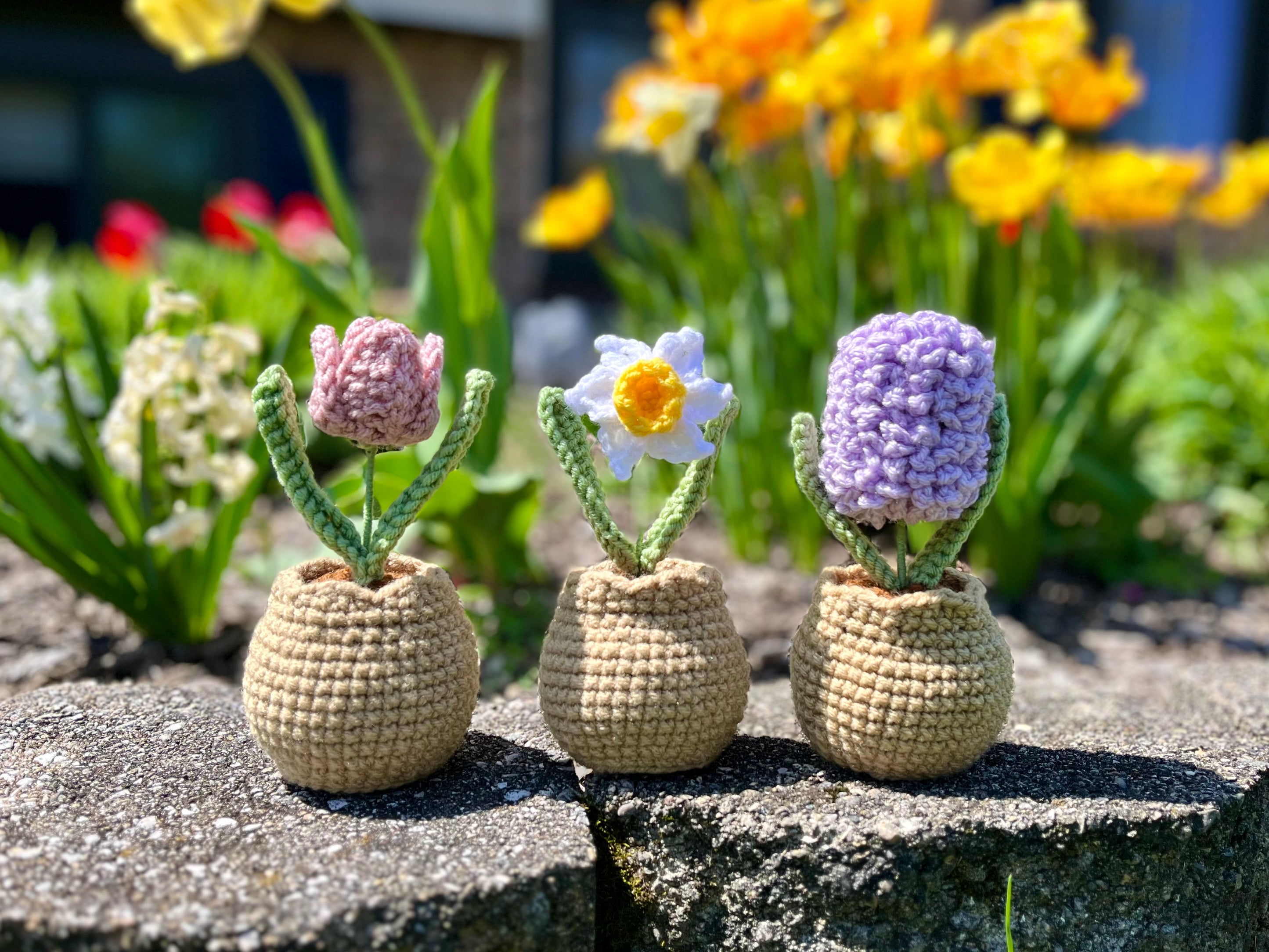 Spring Flowers Collection Crochet Pattern – Squibble's Crochet Corner
