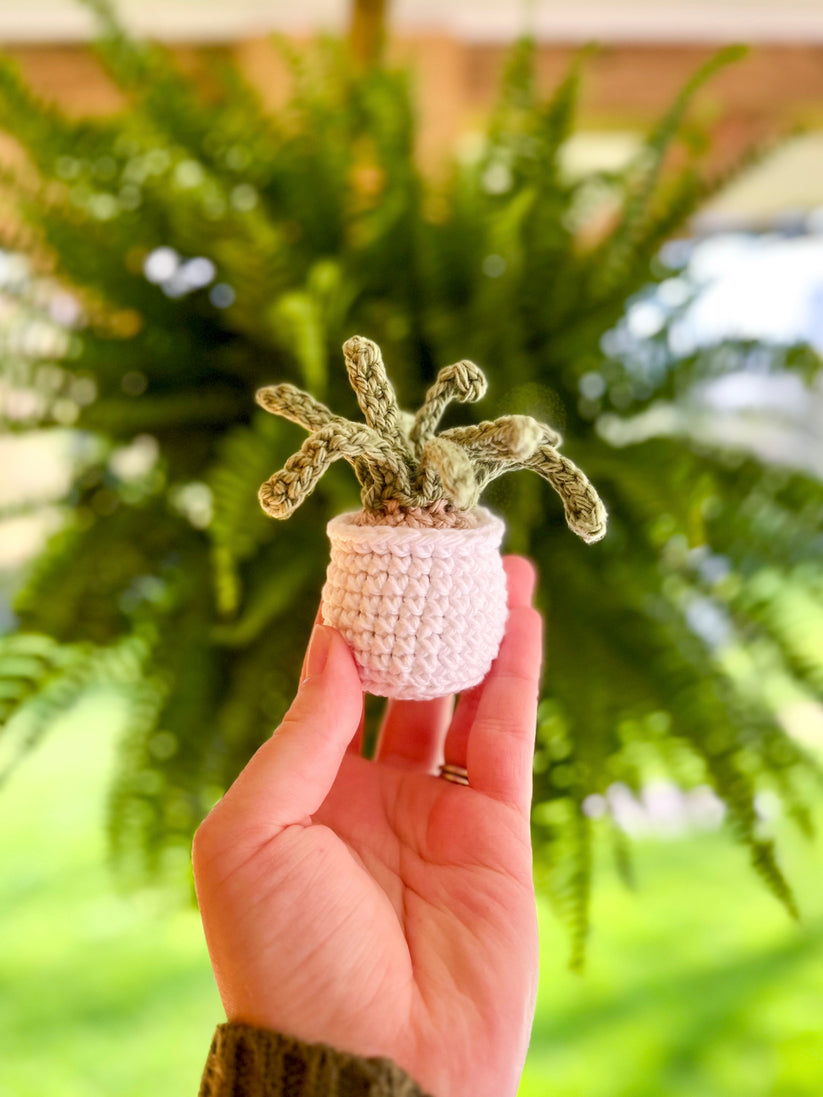 No-Sew Mini Leafy Plant Crochet Pattern – Squibble's Crochet Corner